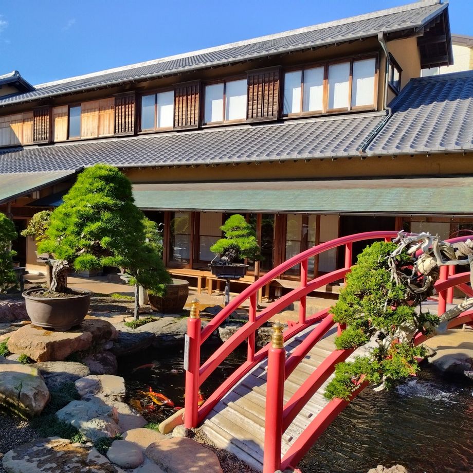 Мистецтво бонсай - Visit Japan Tours